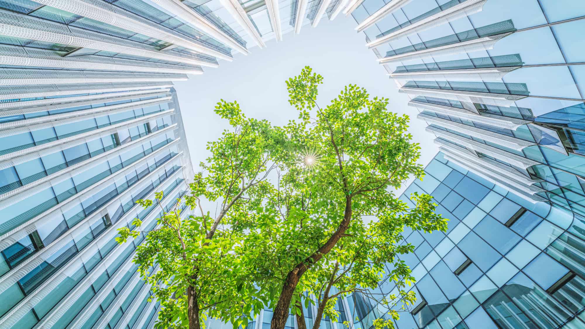 The SEC’s final climate-related disclosure rules | Crowe LLP
