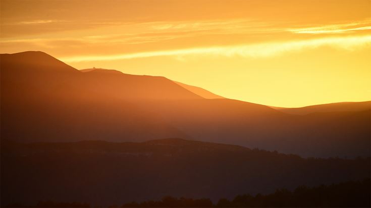 Crowe Global | Crowe Global