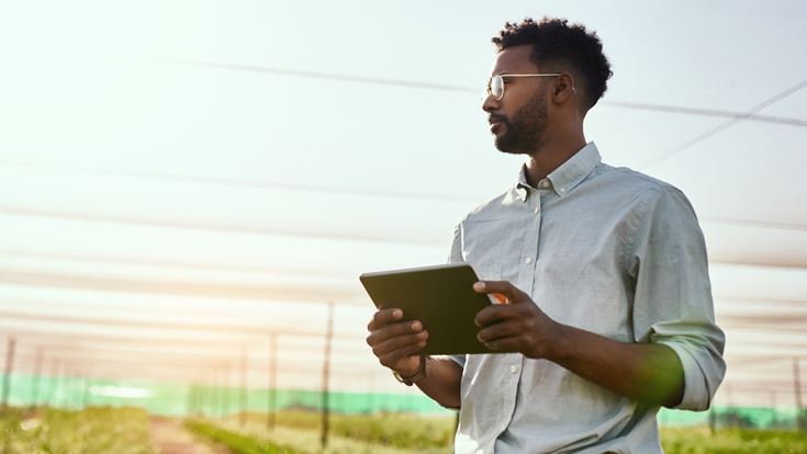 Consulting | Crowe Global
