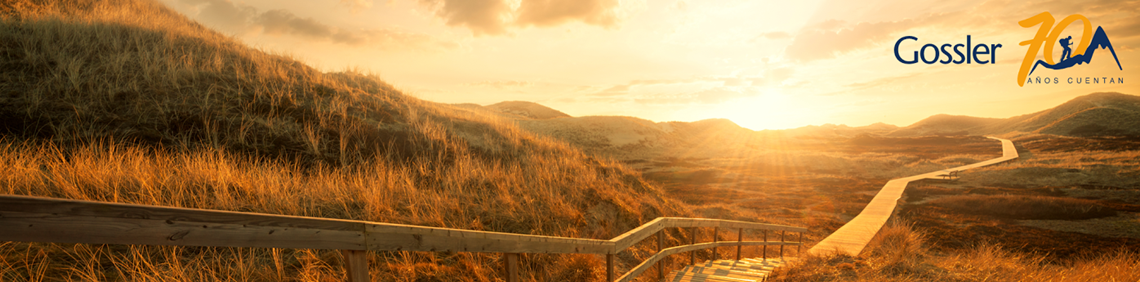 Nuestras oficinas | Crowe México.